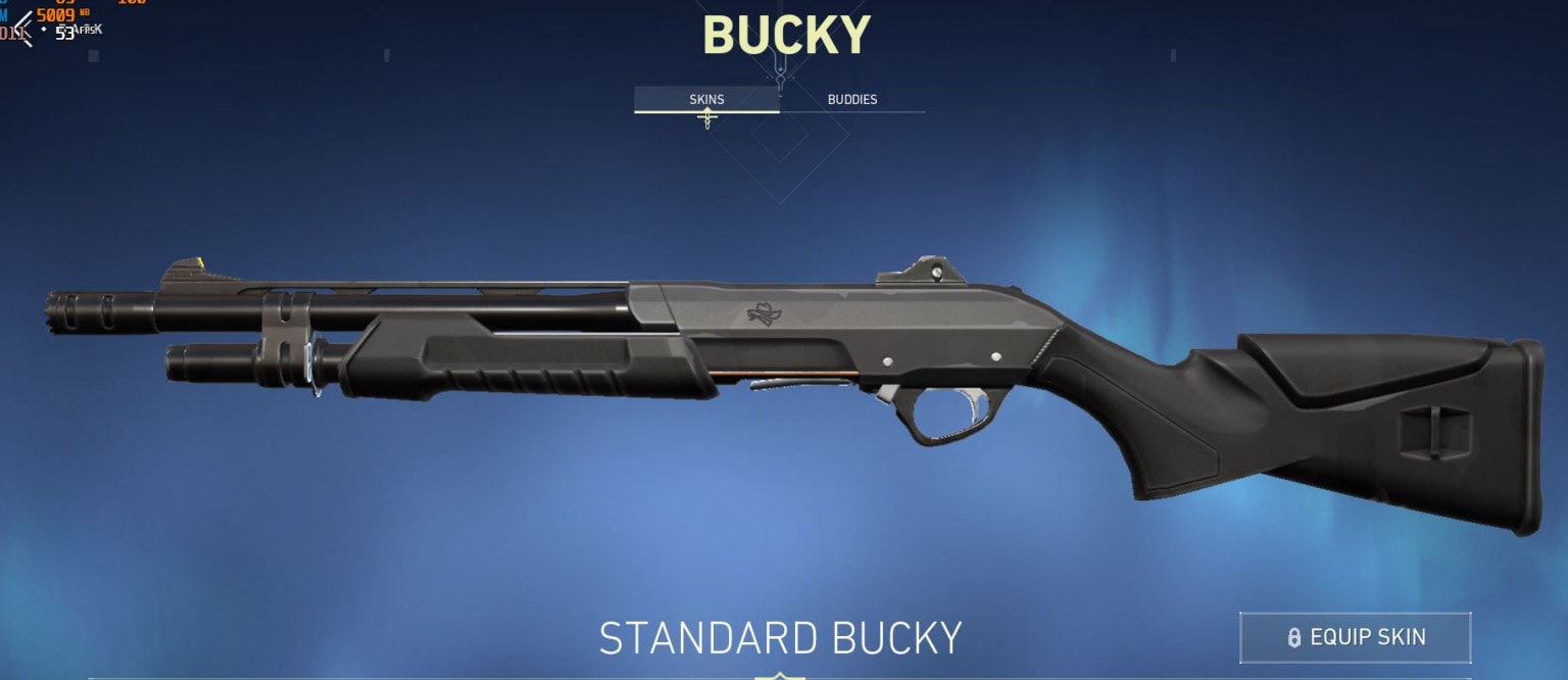 5 of the Best Bucky Skins in Valorant | FPS Champion